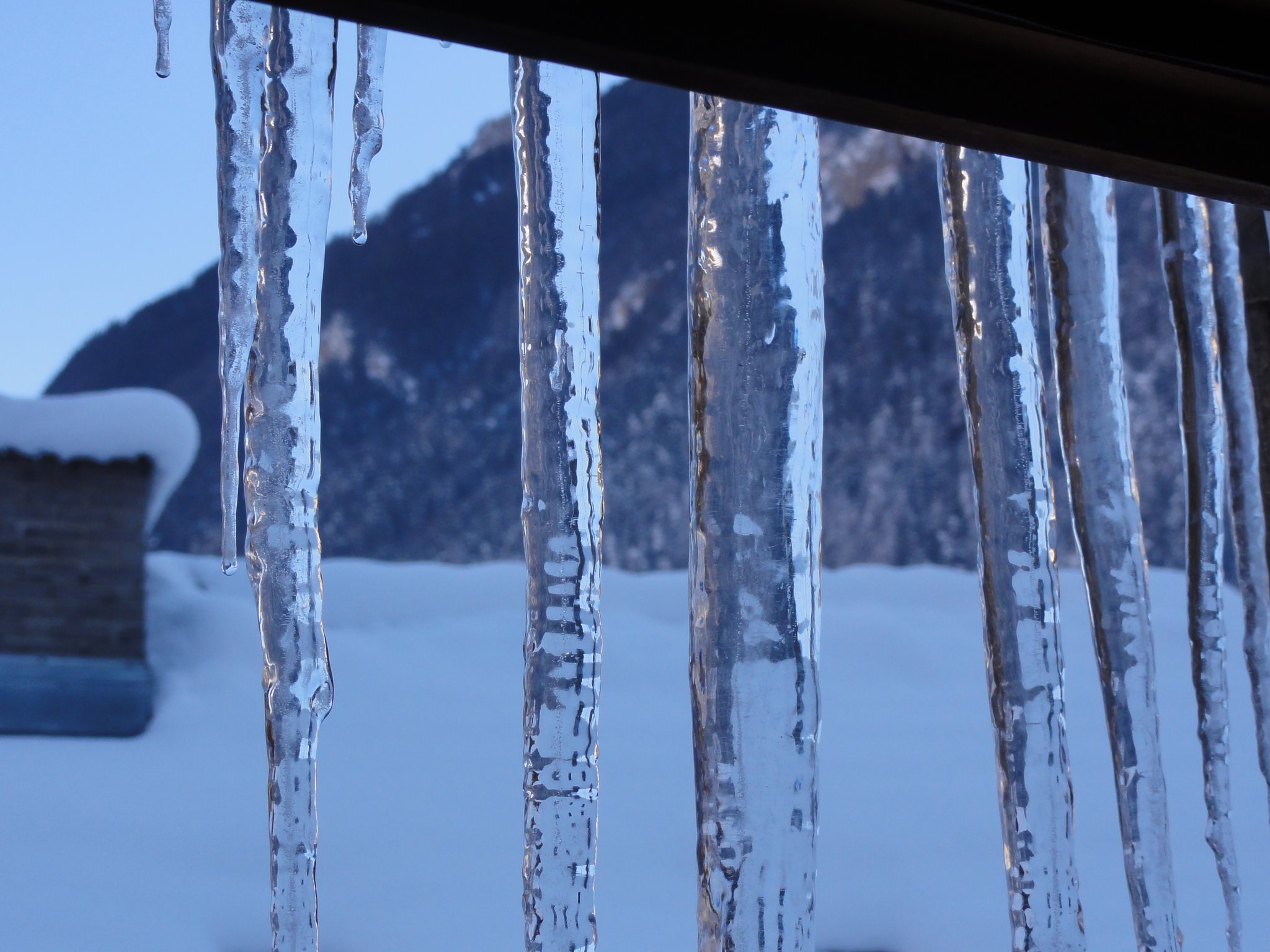 Die gute Nachricht: Die Reue - Landeck