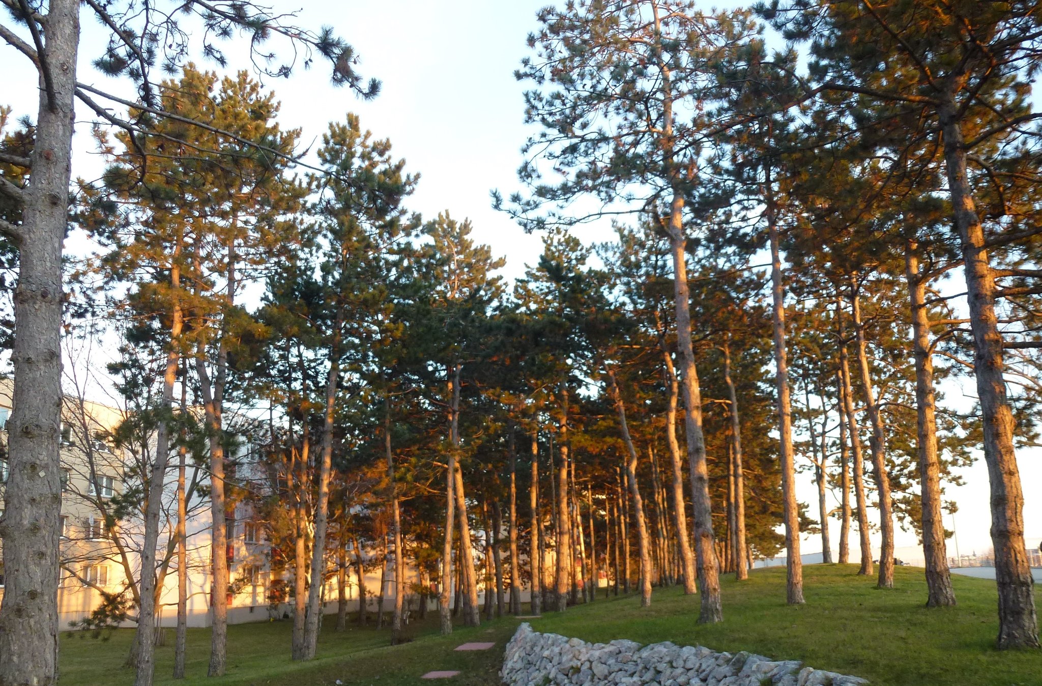 Neulaa: Unterwegs in Neulaa - Favoriten