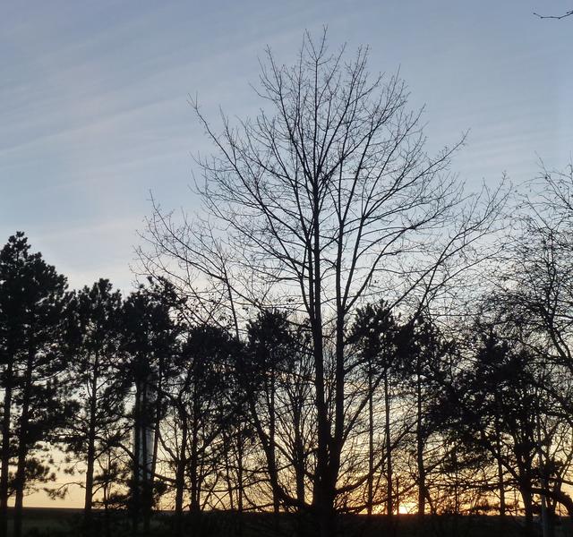 Neulaa: Unterwegs in Neulaa - Favoriten