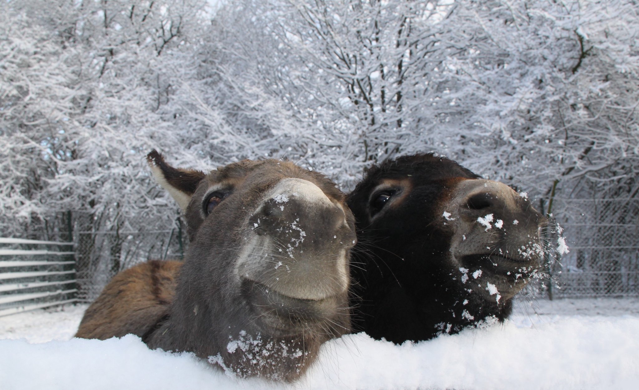 Geheimtipps: Zehn Freizeit-Tipps für den Winter in Linz - Linz