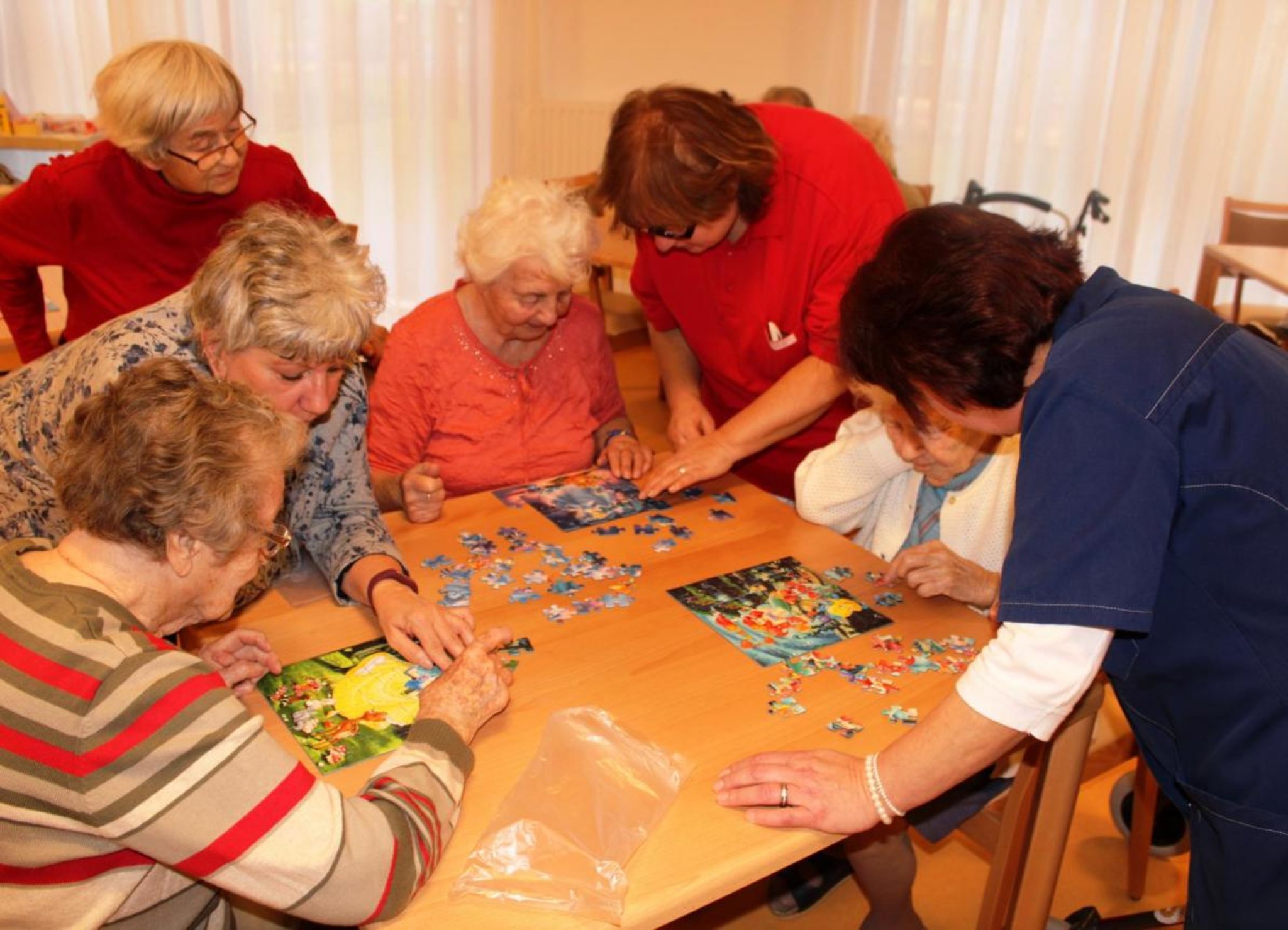 Barmherzige Brüder Kritzendorf: Internationaler Puzzletag - Tulln