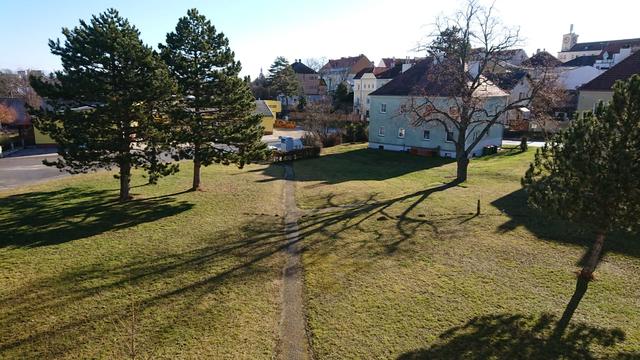 Wohnbauprojekt Zistersdorf: Bäume, Eulen und großer Ärger - Gänserndorf