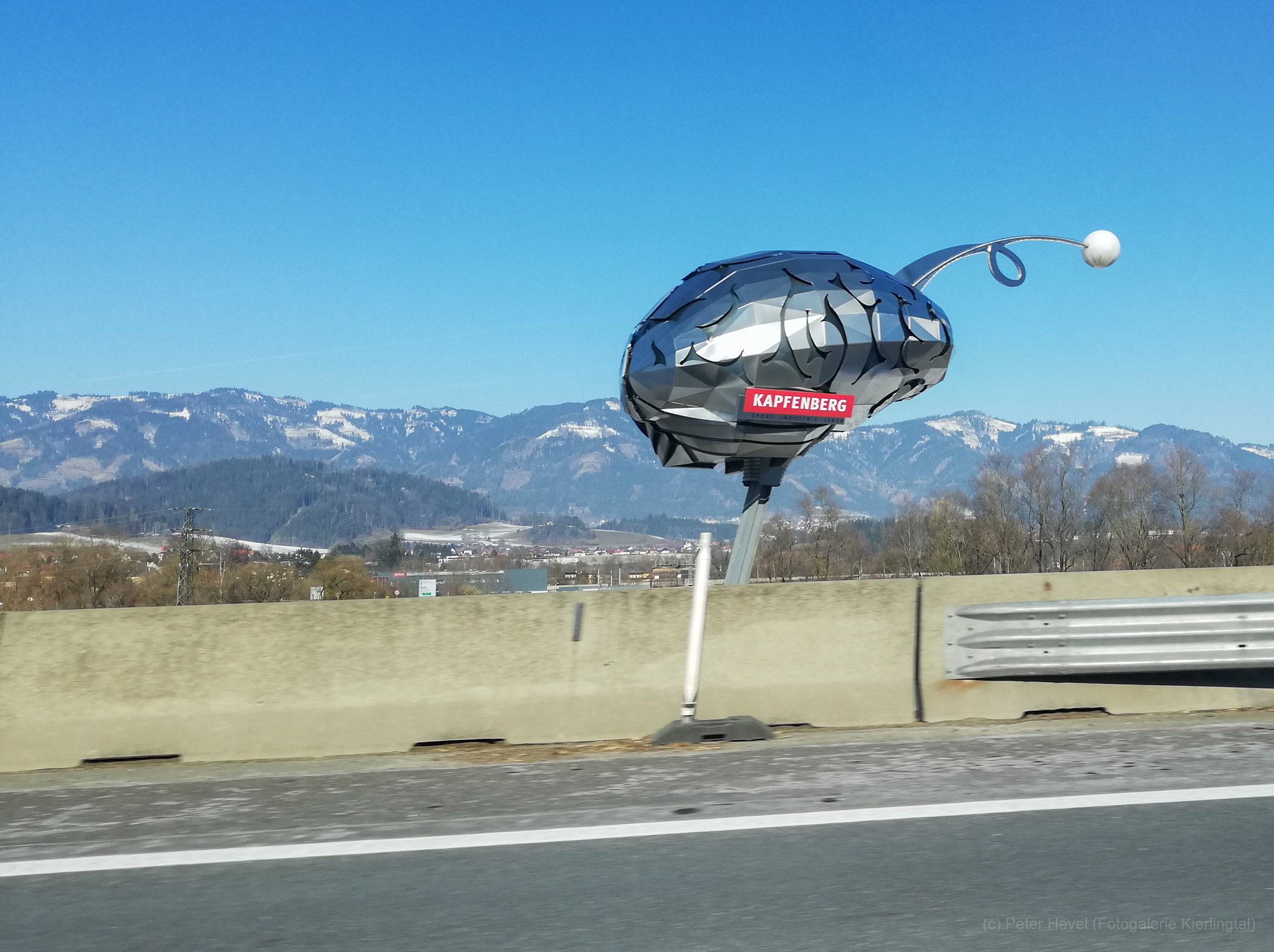 RIESENFISCH: 9 Tonnen schwerer "Geistesblitz" gesichtet - Bruck an der Mur