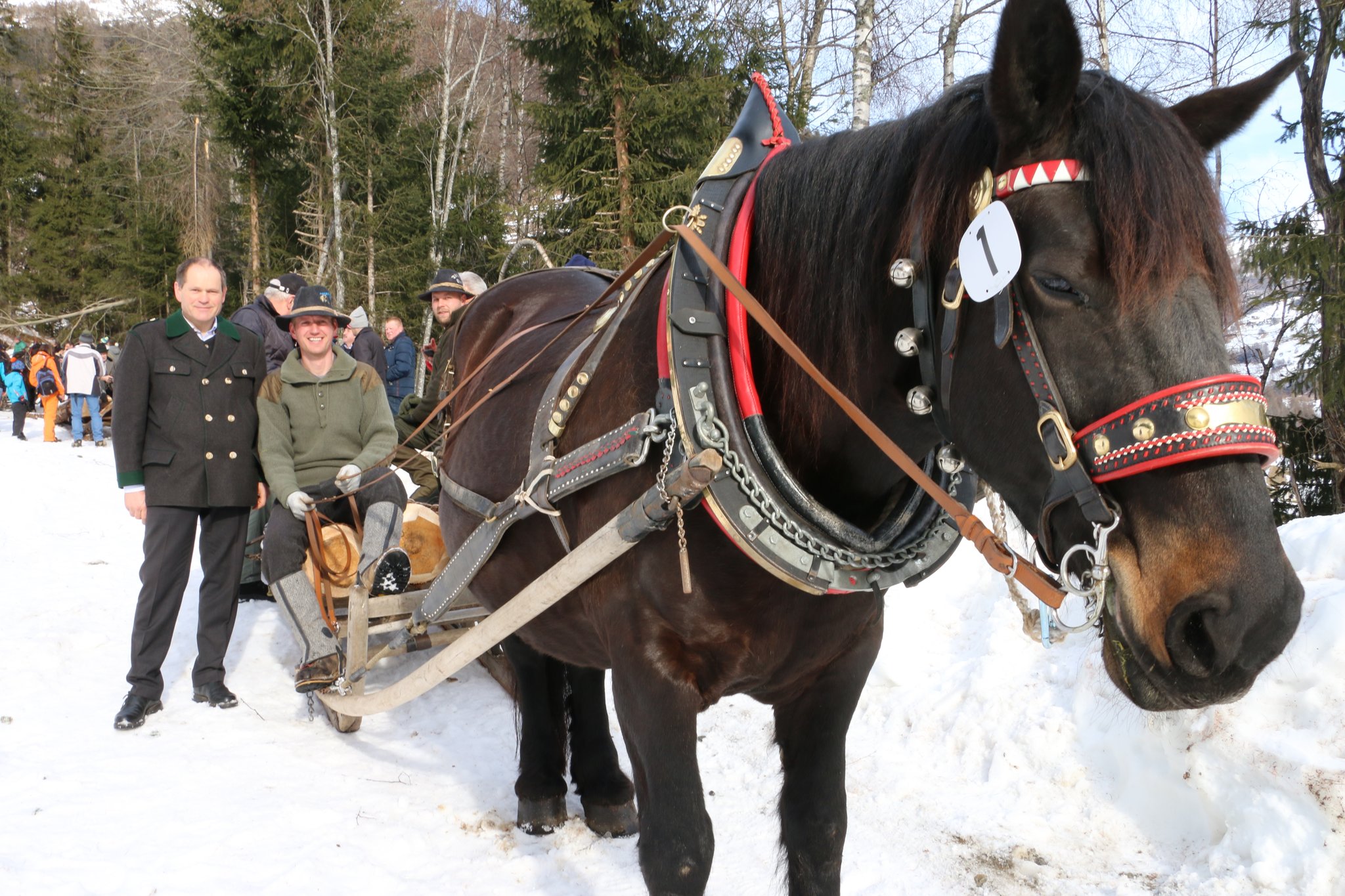 Veranstaltung: Traditionelles Holzfuhrwerken in Grosskirchheim - Spittal
