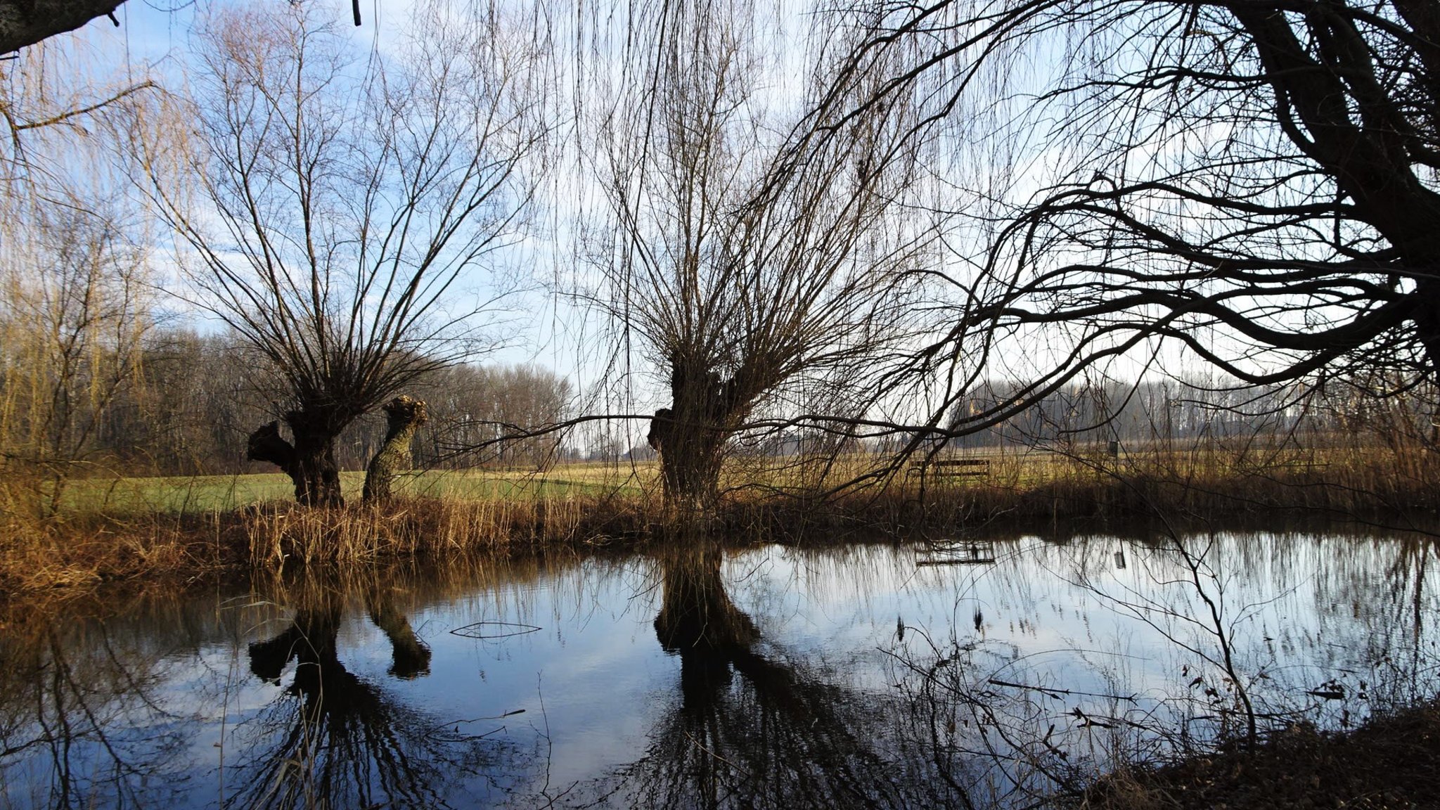 Leithaauen ... KG Landegg, MG Pottendorf, Bezirk Baden (NÖ): Ein ...