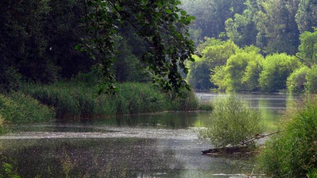 Fluss ohne Grenzen: Unsere March - Lebensader der Region - Gänserndorf