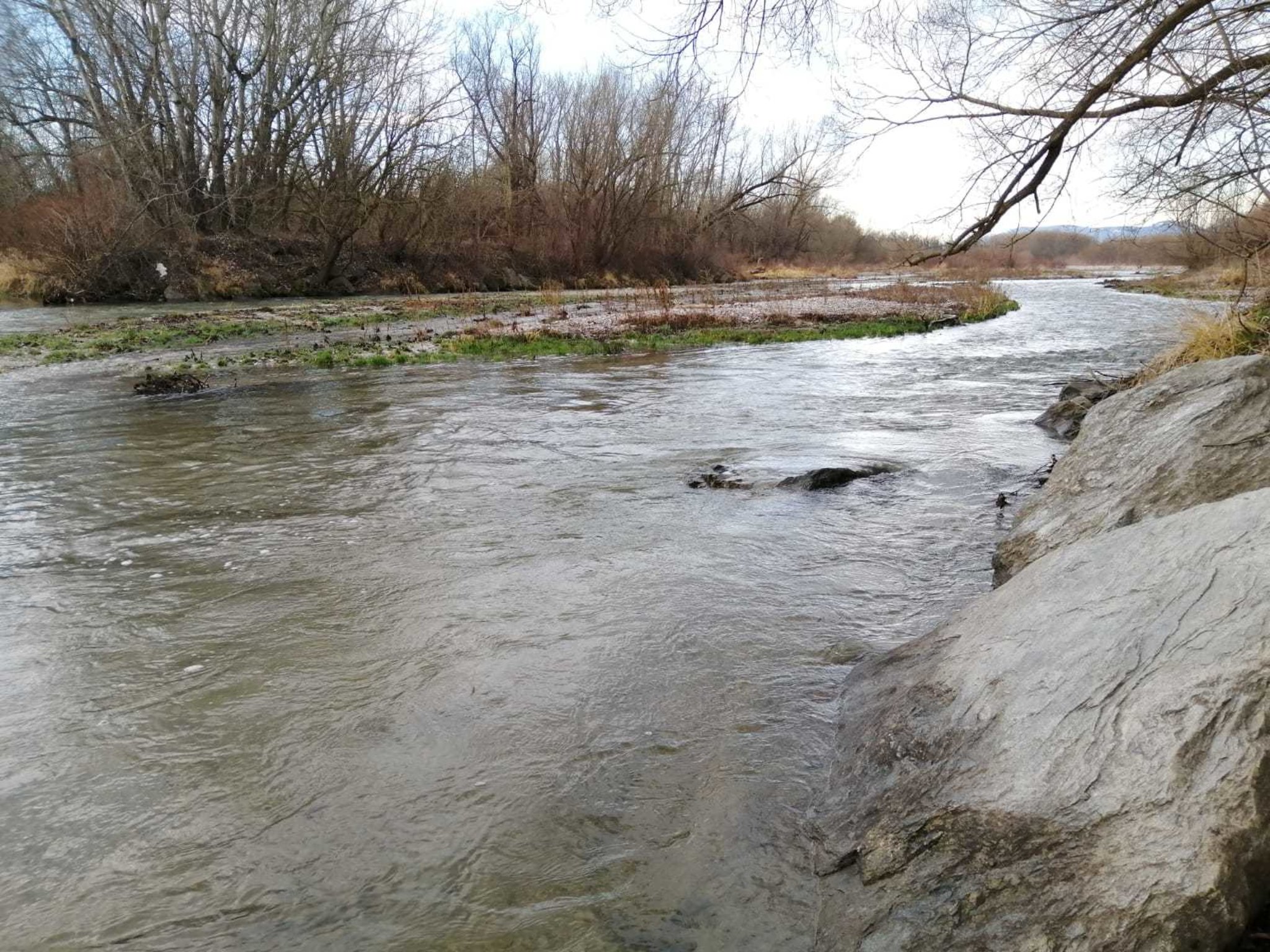 Flussserie: Leitha: Ein Fluss mit Zukunft - Wiener Neustadt