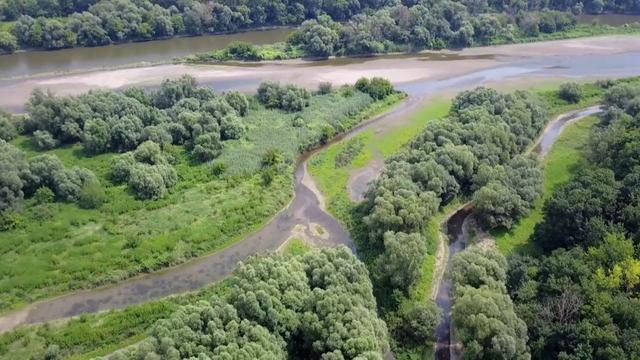 Fluss Serie: Zurück zur Natur - Die Renaturierung der March - Gänserndorf