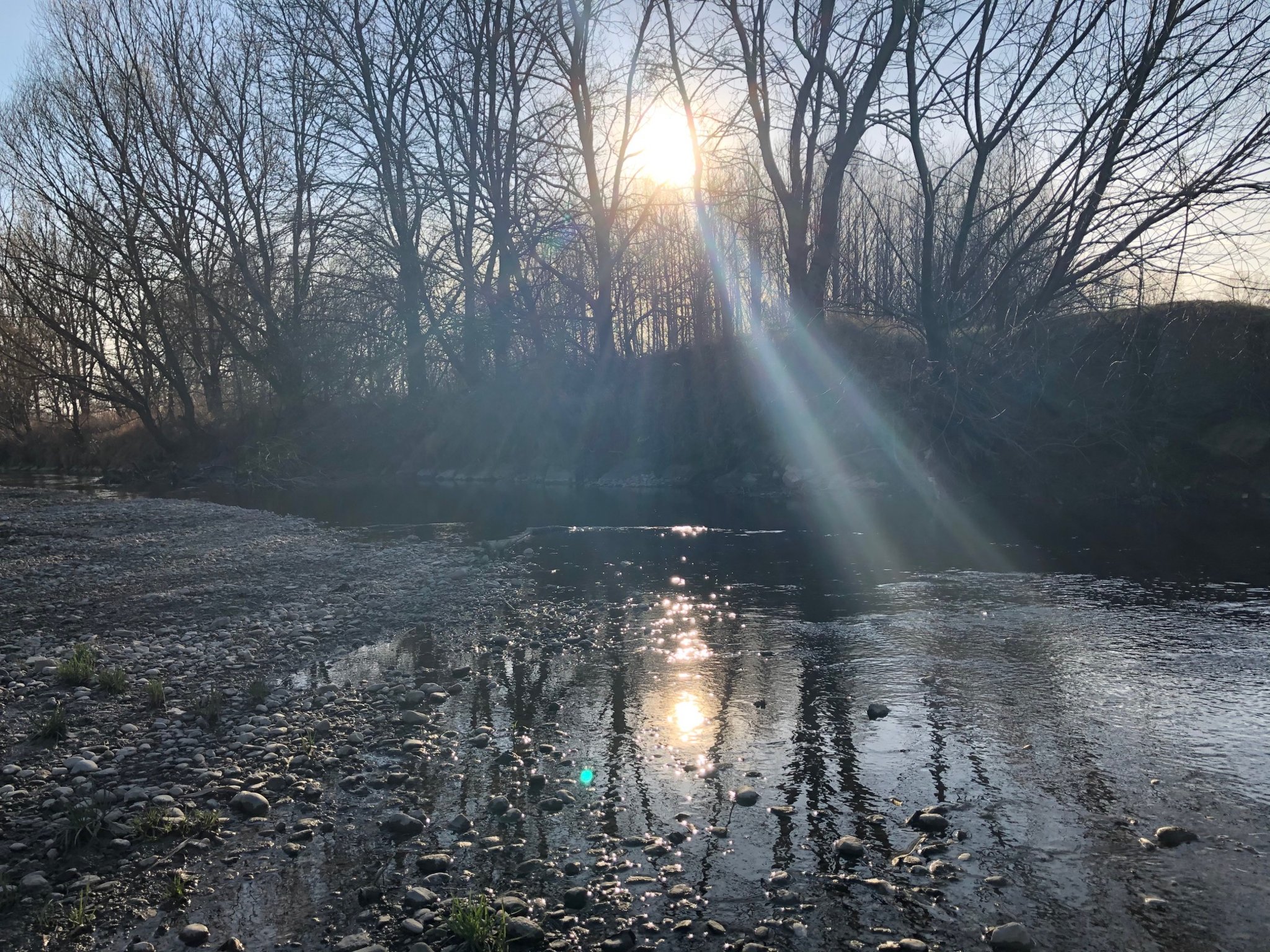 Renaturierung: Naturnahe Lebensräume der Leitha wurden ...