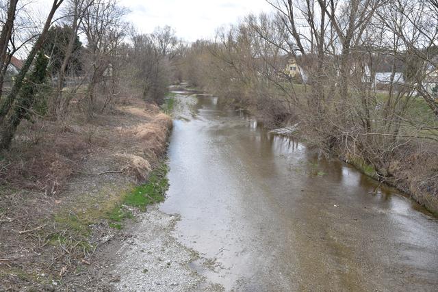 Flussserie: Was da so am Haken zappelt - Wiener Neustadt