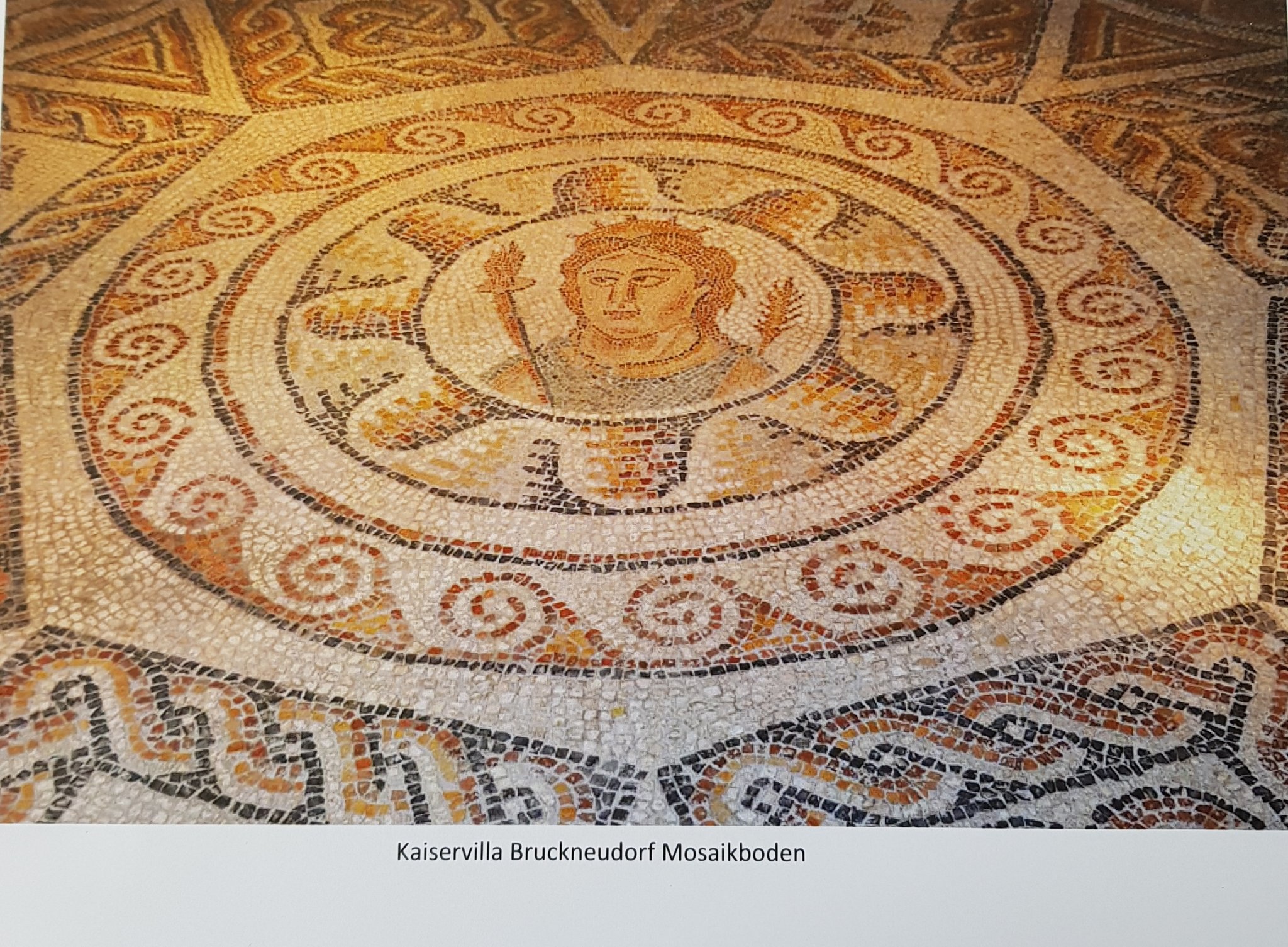 Bruck an der Leitha die Grenzstadt: Cis-und Transleithanien/ K.u.K.