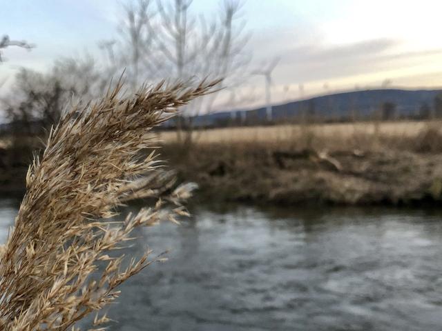 Fluss-Serie: Wir blicken noch einmal auf unsere Leitha - Bruck an der ...