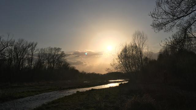 Fluss-Serie: Wir blicken noch einmal auf unsere Leitha - Bruck an der ...