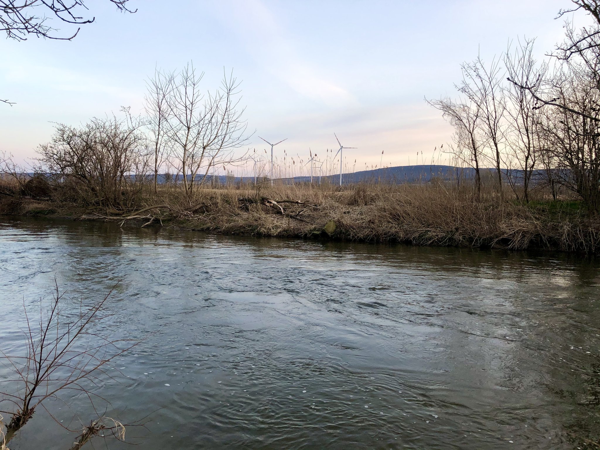 Fluss-Serie: Wir blicken noch einmal auf unsere Leitha - Bruck an der ...