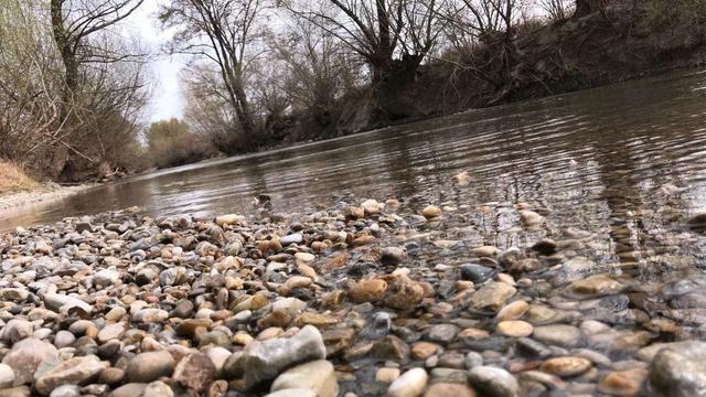 Fluss-Serie: Wir blicken noch einmal auf unsere Leitha - Bruck an der ...