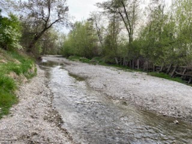 Fluss-Serie: Wir blicken noch einmal auf unsere Leitha - Bruck an der ...