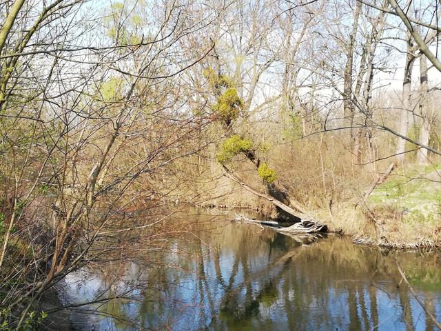 Fluss-Serie: Wir blicken noch einmal auf unsere Leitha - Bruck an der ...