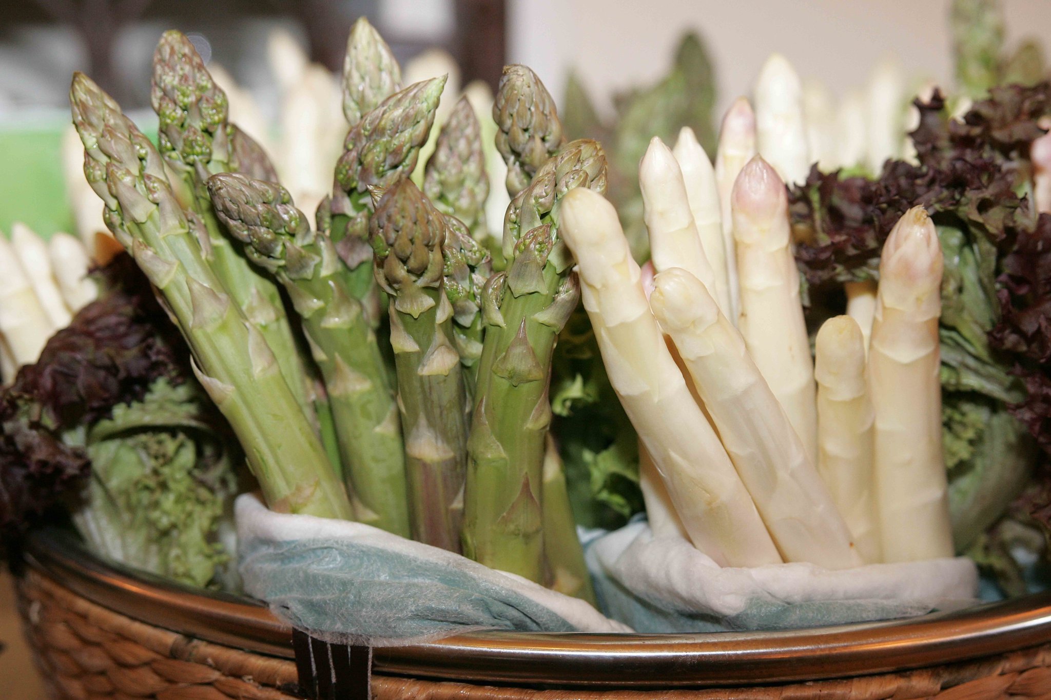 Rezept der Woche: Frische Spargel-Sauerrahmterrine - Leibnitz