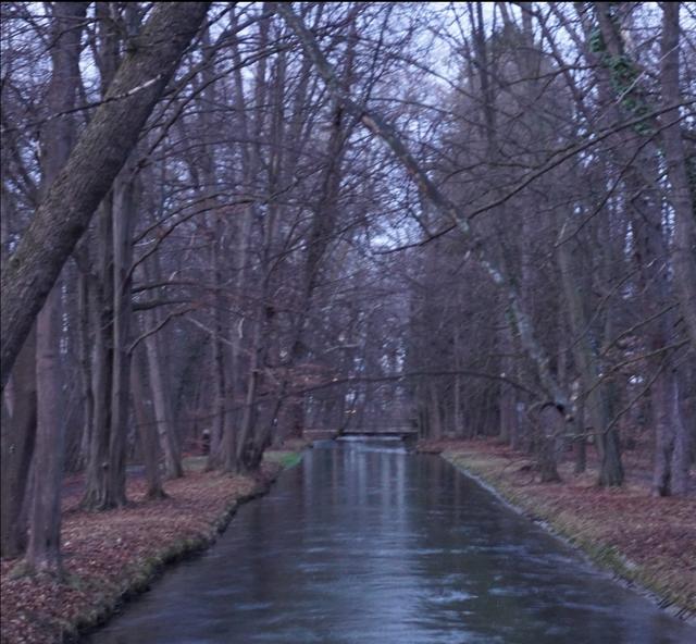 Fluss-Serie: Wir blicken noch einmal auf unsere Leitha - Bruck an der ...