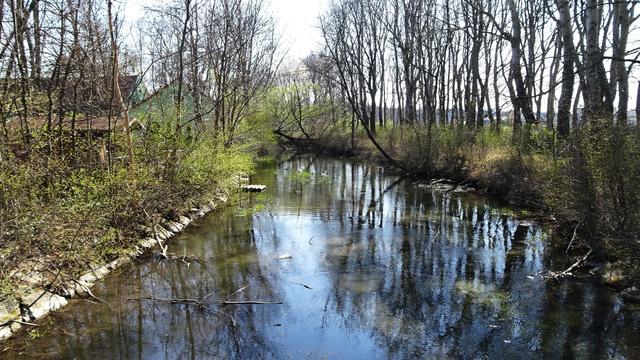 Wunder der Natur: Flüsse: Der Fischa-Ursprung, ein Naturdenkmal bei ...