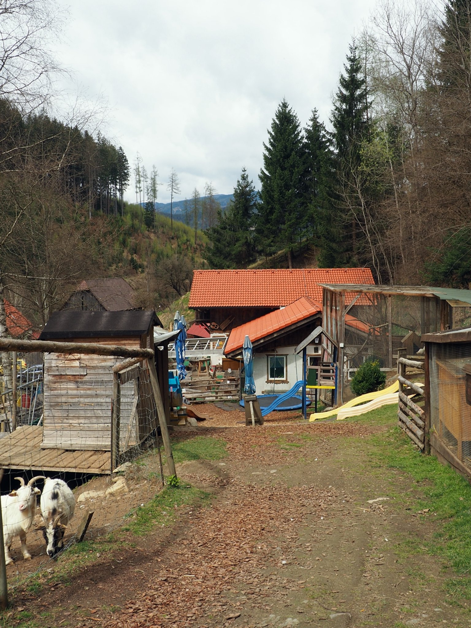 Familien Erlebnispark Murtal: Es kann wieder losgehen - Murtal