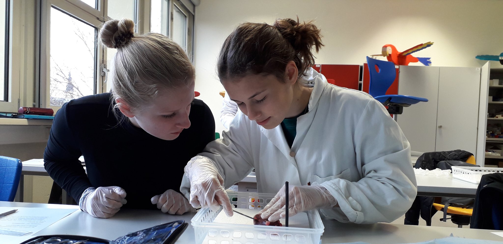 Gütesiegel: Das BG/BRG Fürstenfeld ist jetzt "MINT-Schule" - Hartberg ...