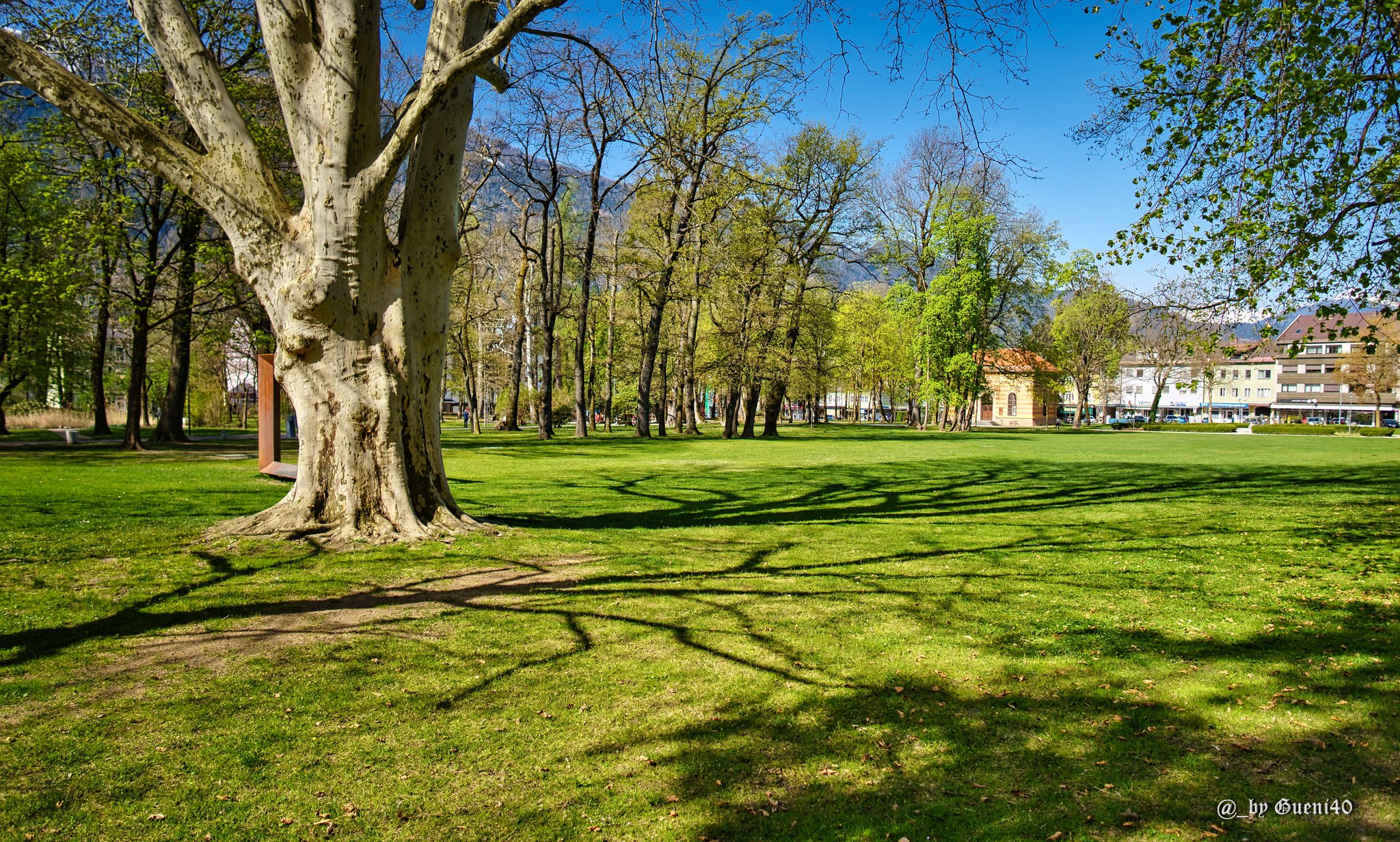 auf meiner Runde durch den Stadtpark Spittal an der Drau ...