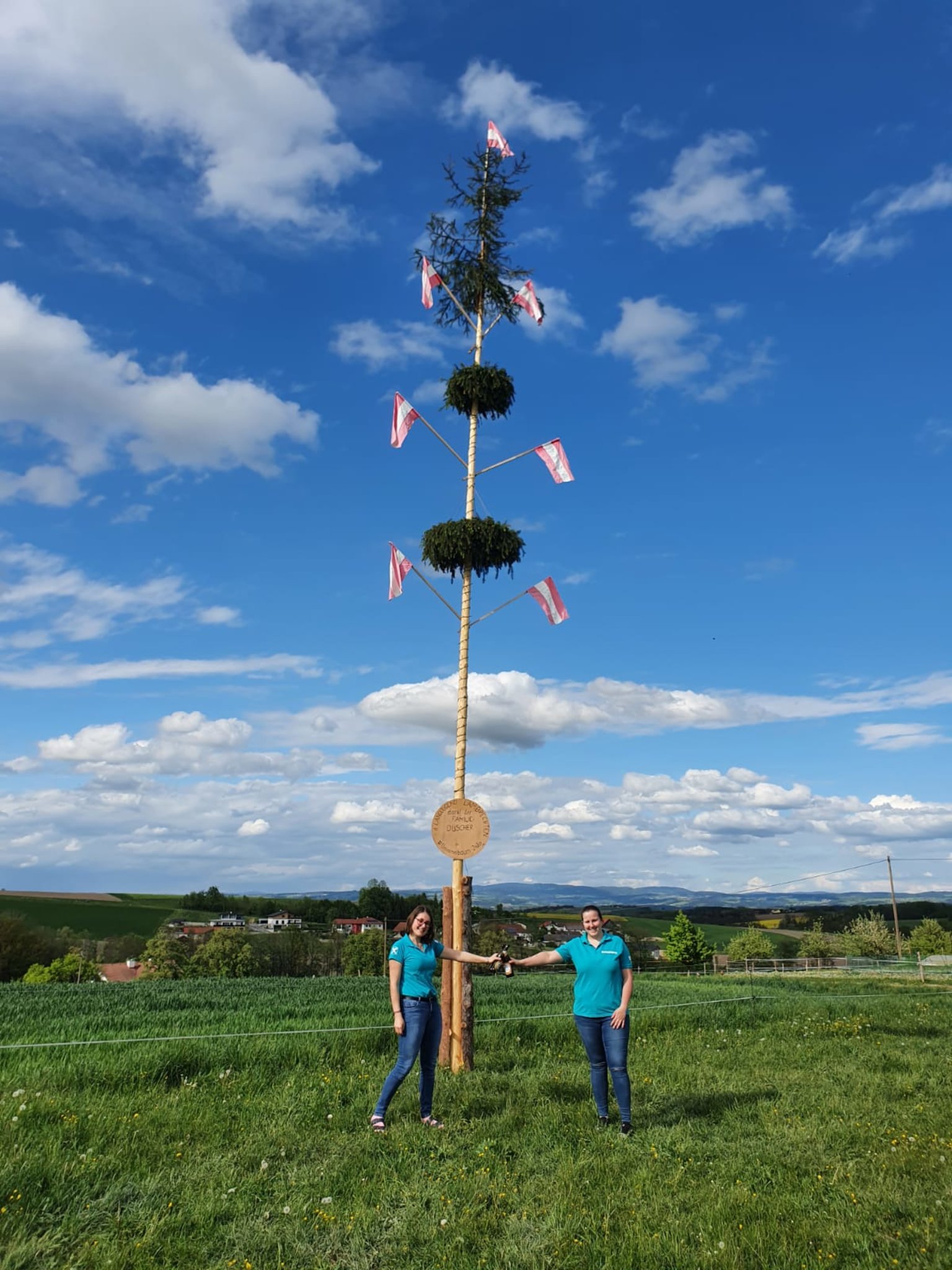 Ein heißbegehrter Maibaum - Ried