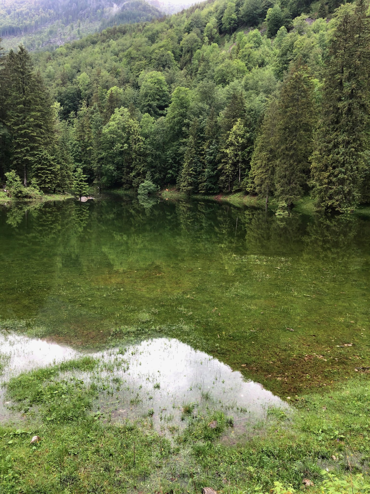 Seltenes Naturschauspiel: Wiesensee in Ebensee ist wieder da ...