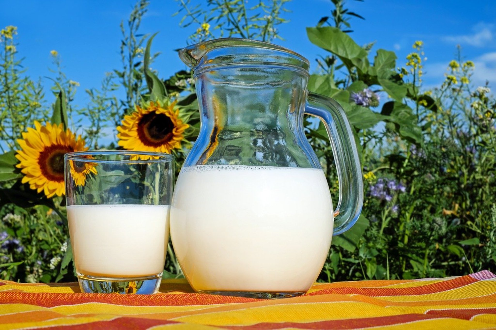 Weltmilchtag: Milch-Mythen – Ist Milchkonsum gesund? - Tirol