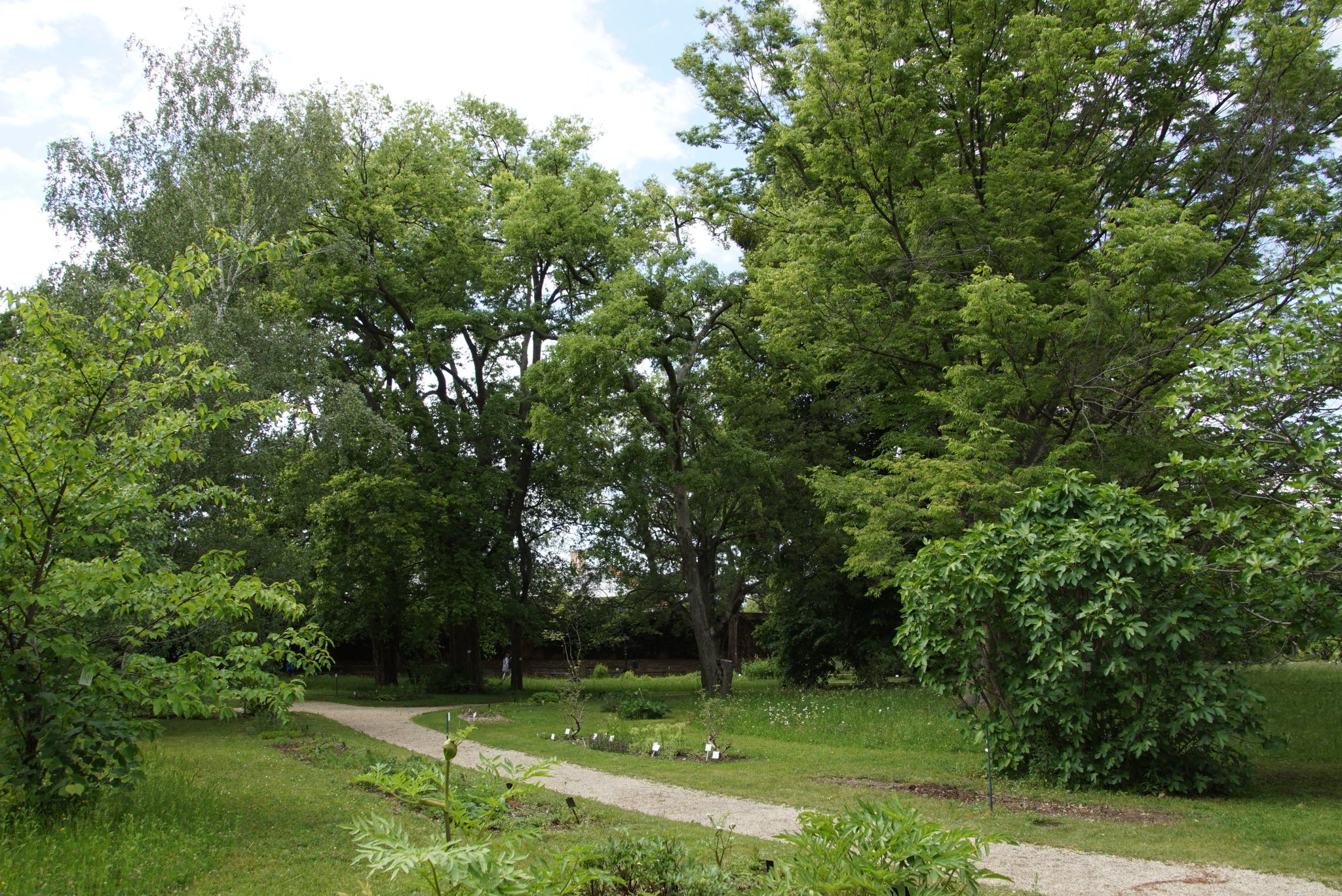 Botanik: Botanik Park - Liesing