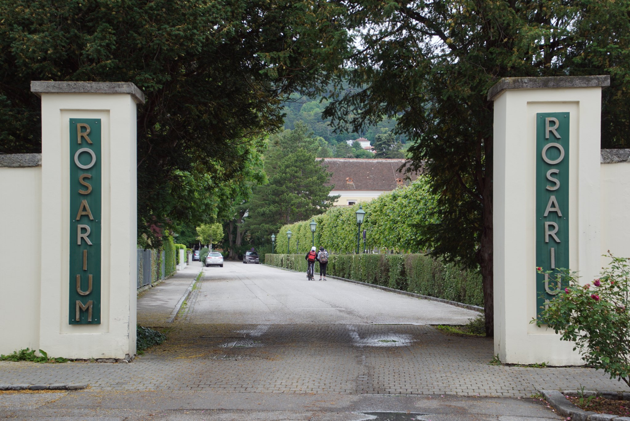 Rosengarten: Rosarium - Baden - Liesing