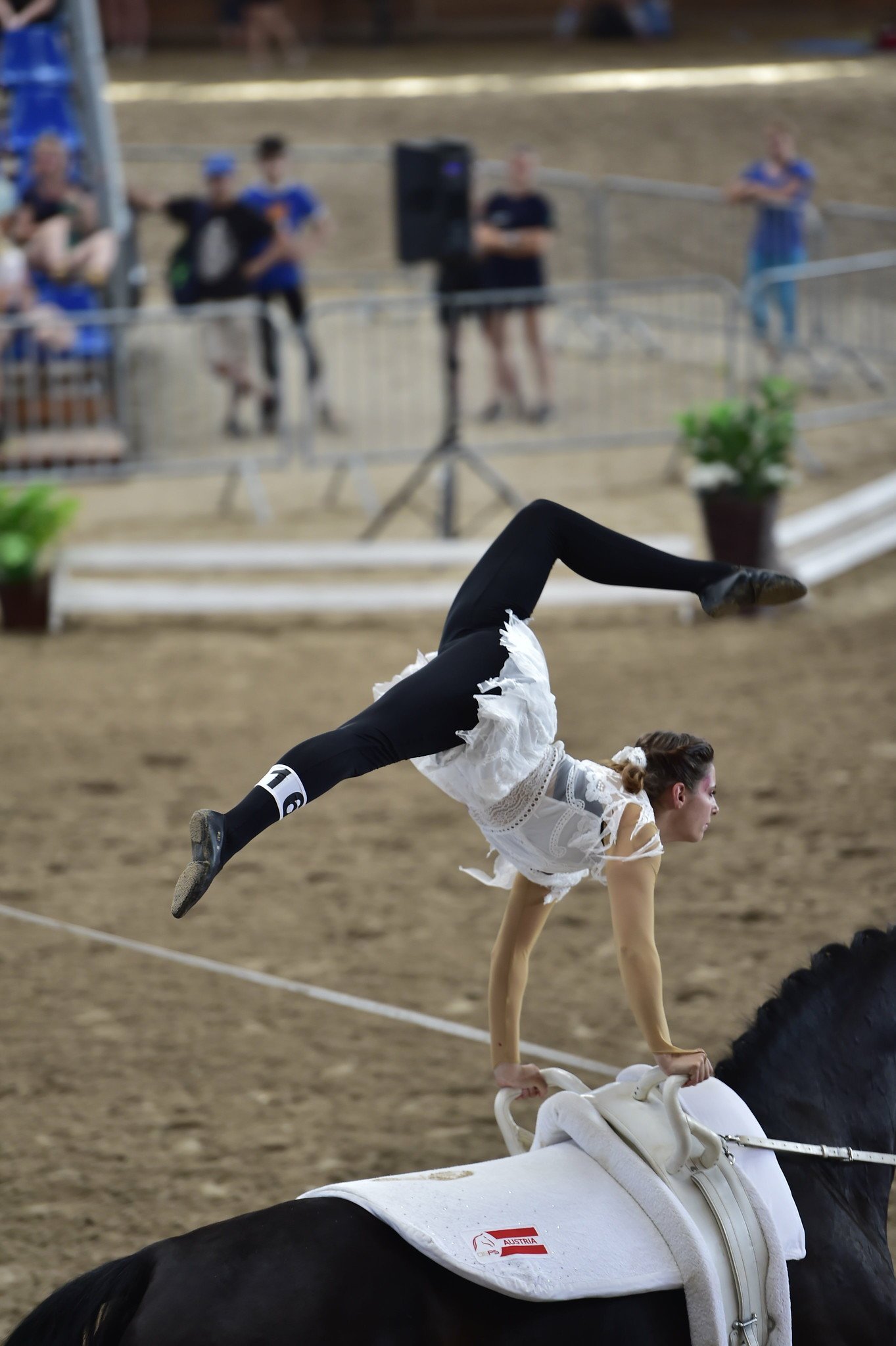 Siegendorf: Voltigiererin Daniela Fritz braucht Unterstützung - Eisenstadt