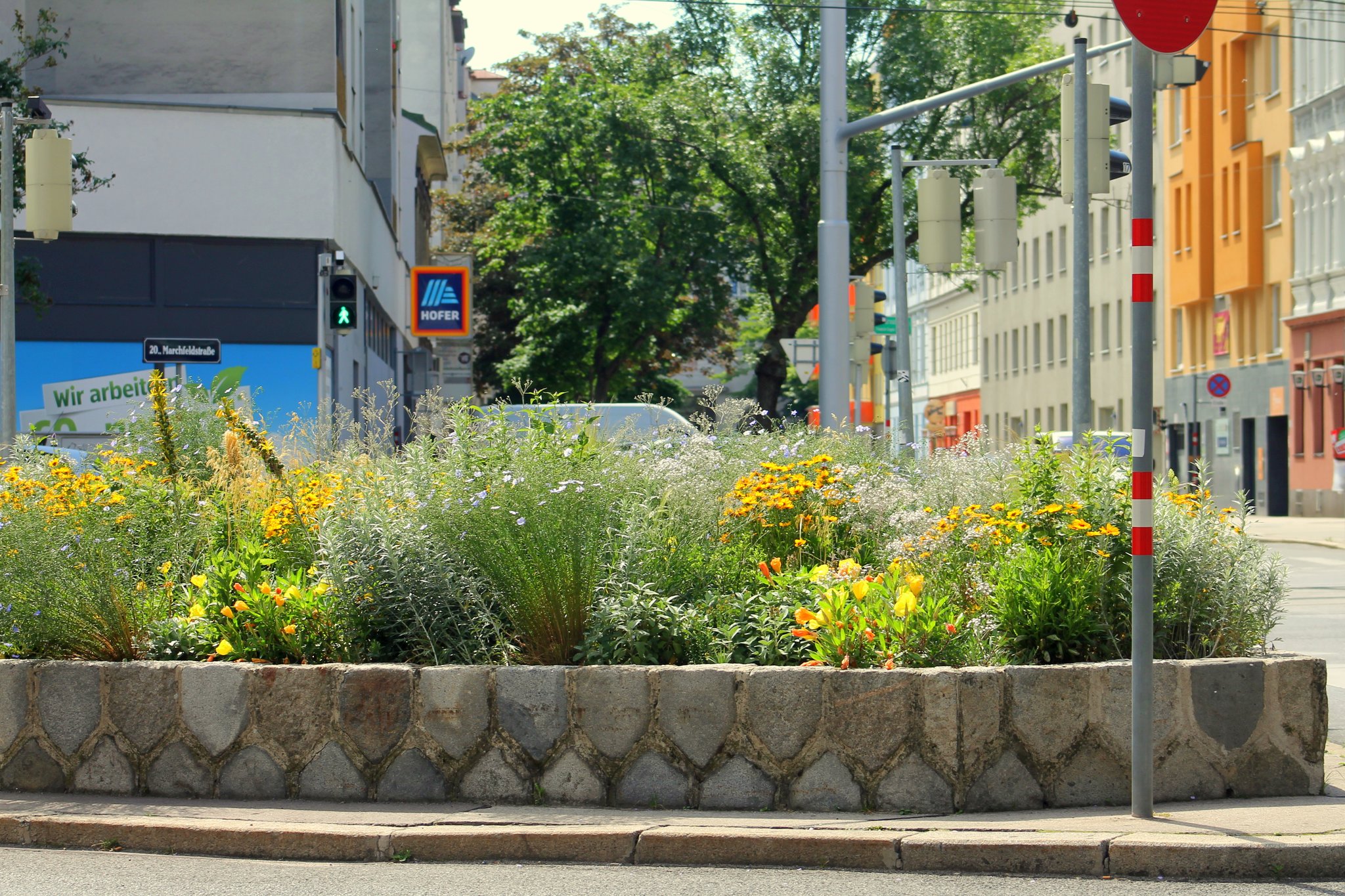 ein kleines Blumenparadies in der Brigittenau: Wien ~ die blühende ...