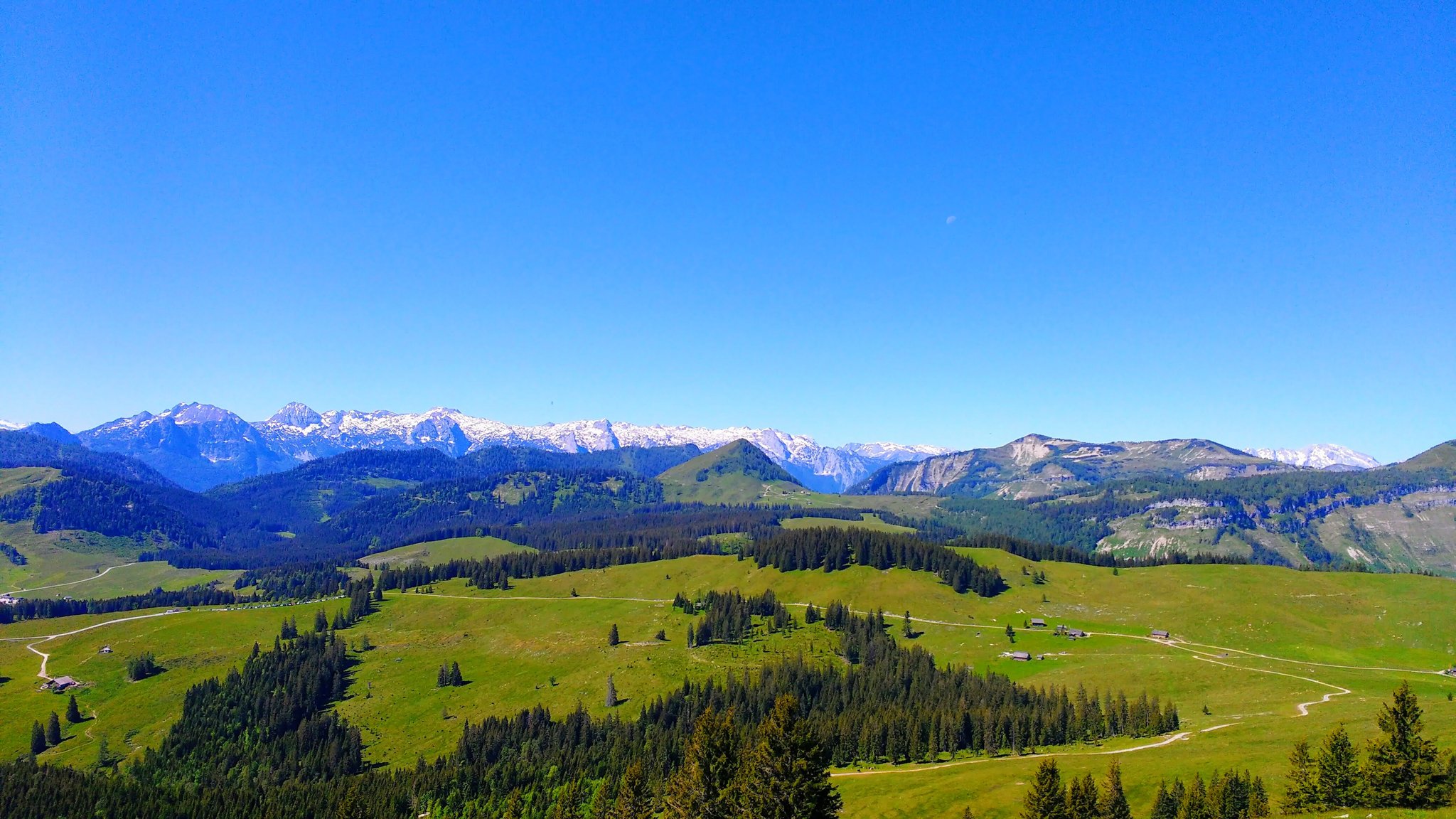 In der Postalm wandern: Wanderparadies Postalm - Tennengau