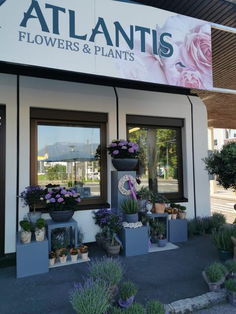 Atlantis Flowers: Florale Neueröffnung in Villach - Villach