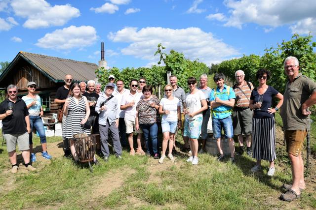 Straß: Winzerwanderung zur Riede Gaisberg mit Weingut Allram - Krems