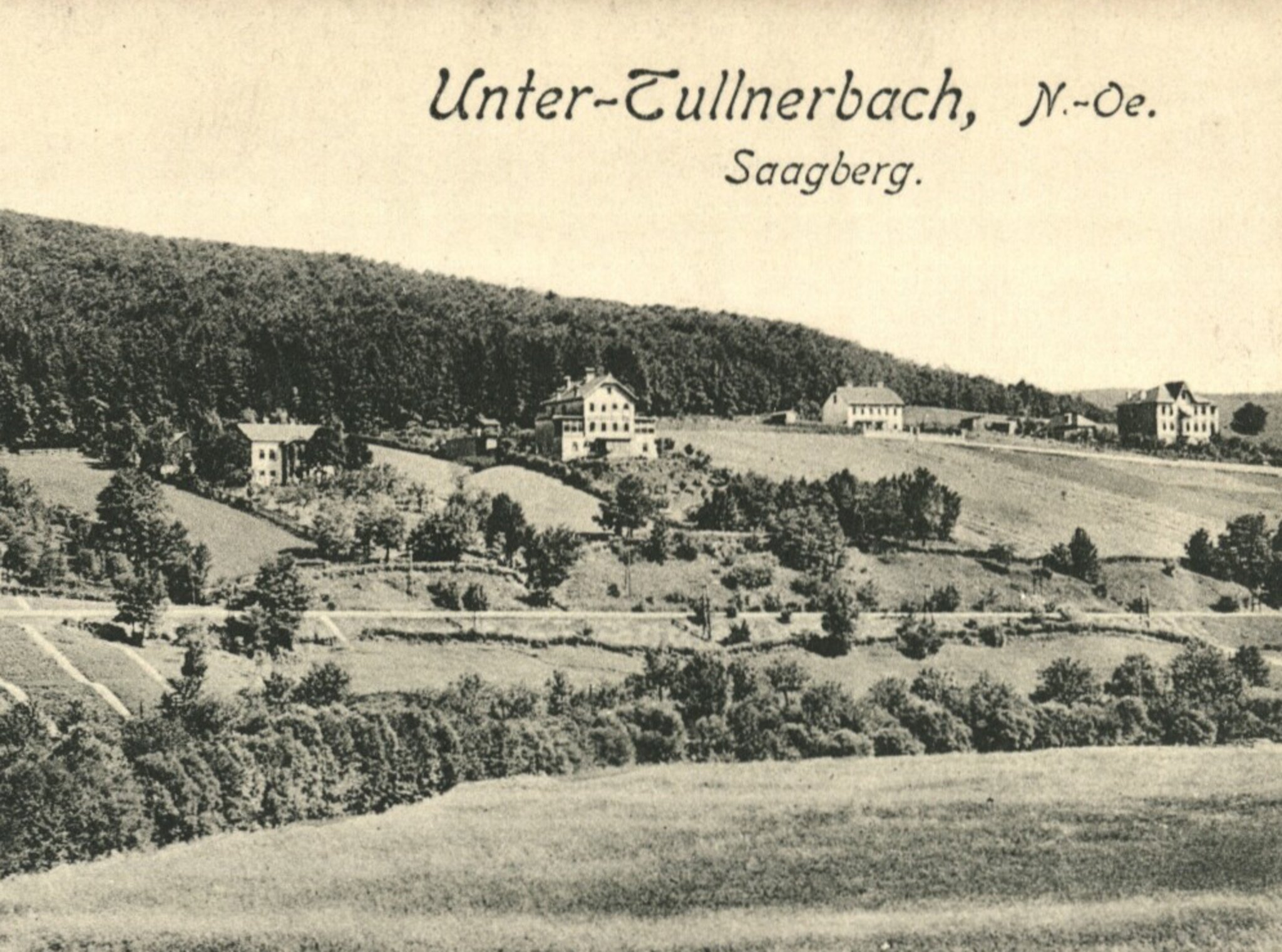 Damals & Heute: Neupurkersdorf - Sagberg - Purkersdorf