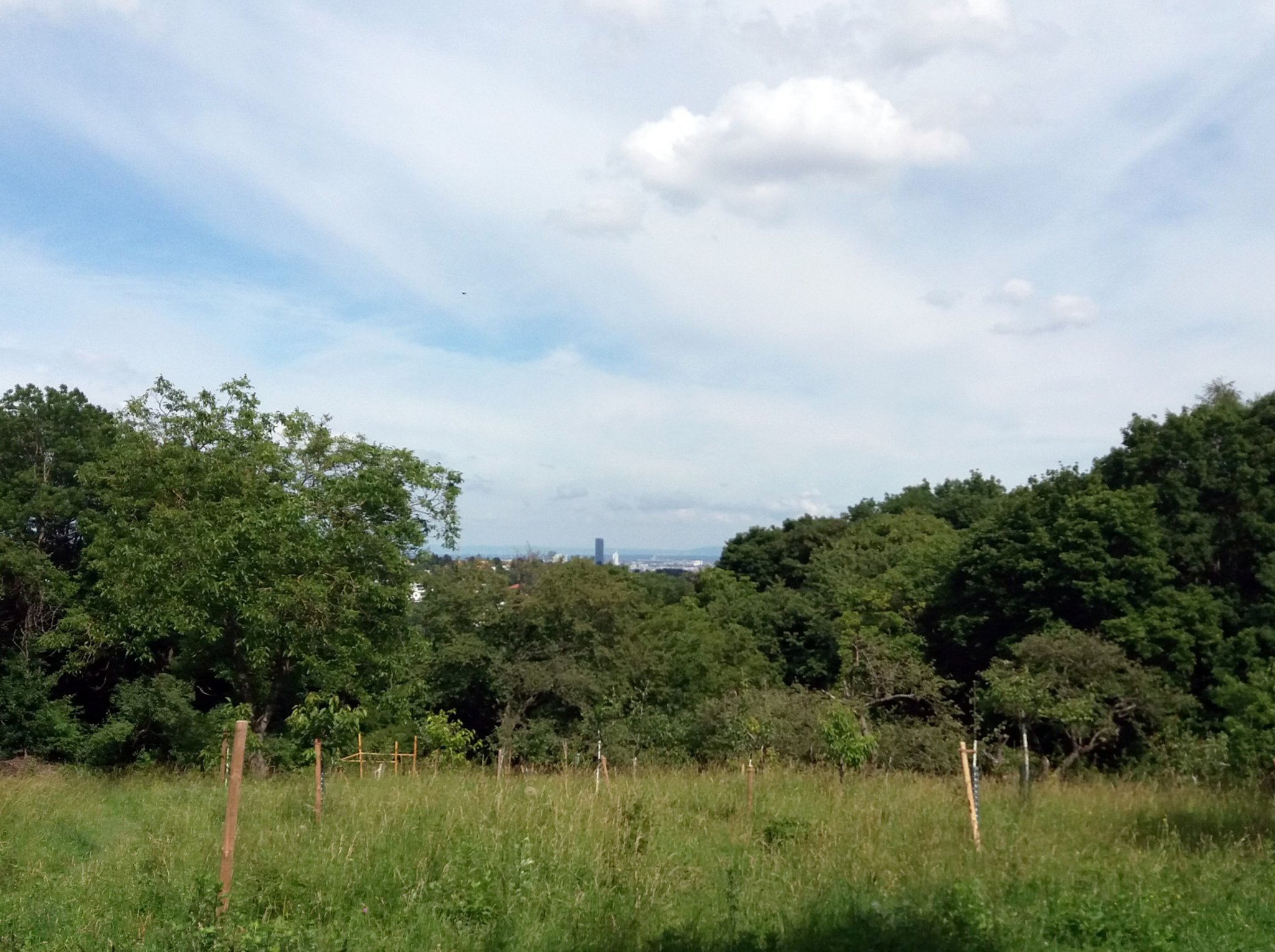 Biosphärenpark-Haus: Braucht der Wienerwald ein Besucherzentrum? - Hernals