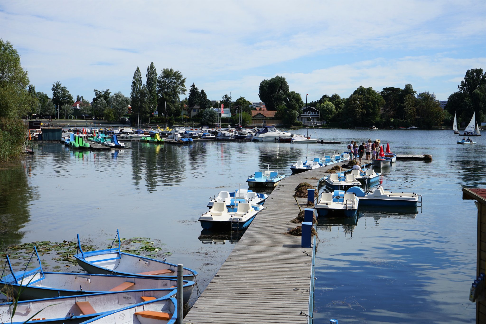 Alte Donau: Bootsfahrt - Liesing