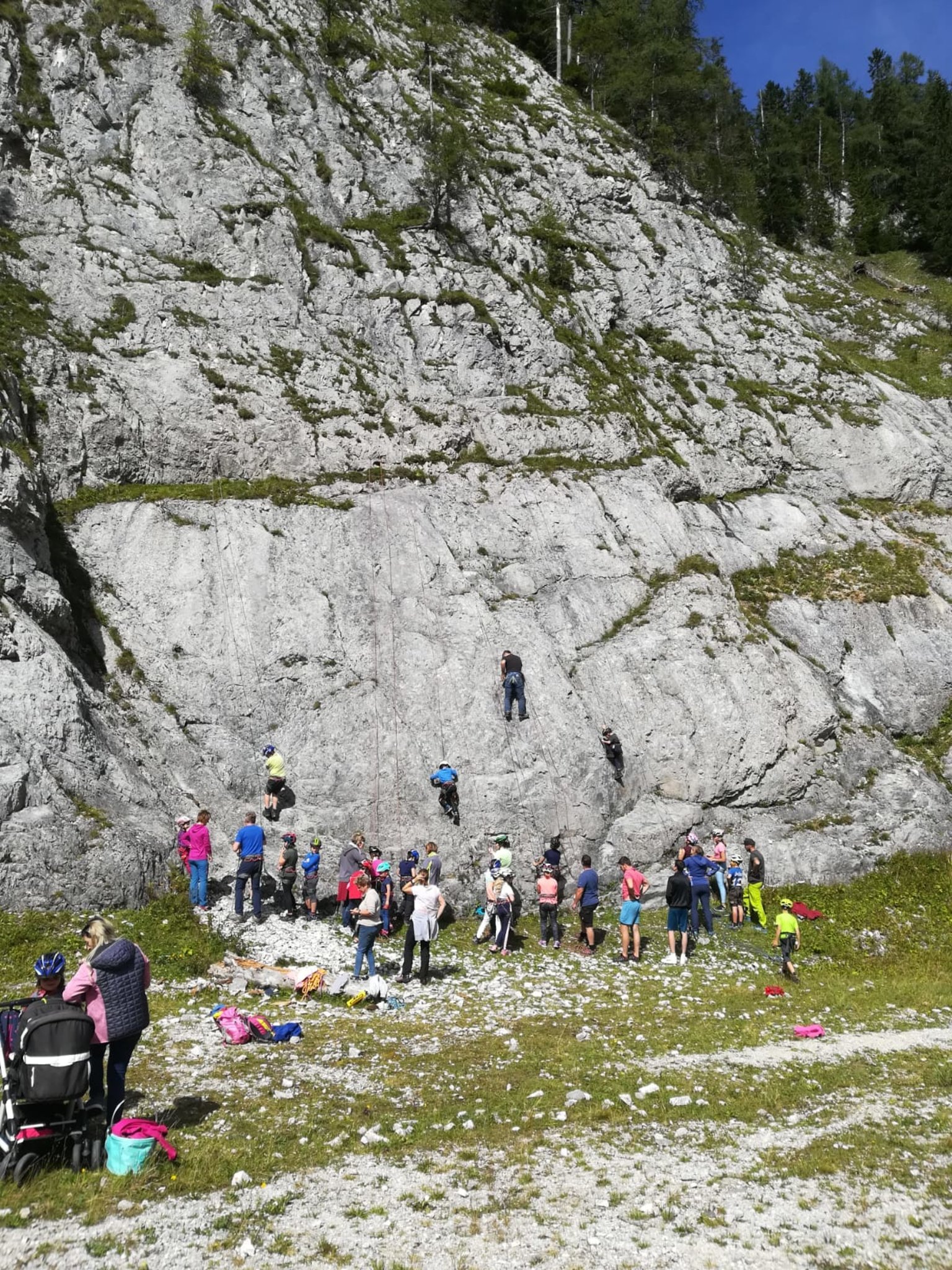 Besonderes Highlight: Klettern und Flying-Fox hat am Seeberg Tradition ...