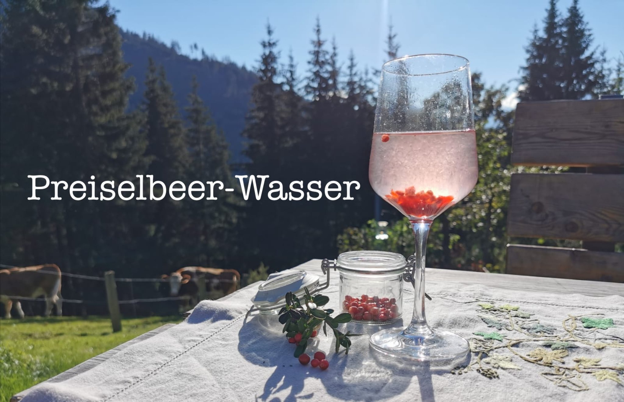 Kräuterhexen-Tipp der Woche: Preiselbeer-Wasser - Pinzgau