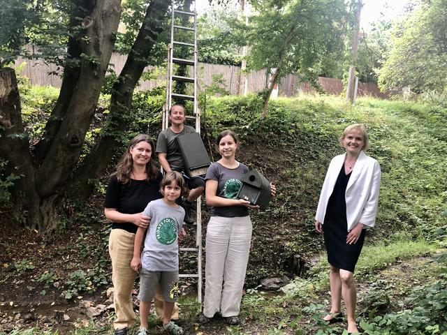 Naturschutzprojekt am Wlassakgraben: Neue Behausungen für Fledermaus ...