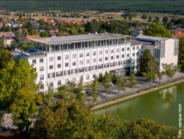 Horn feiert *SZENE Waldviertel FESTIVAL’20 - Horn