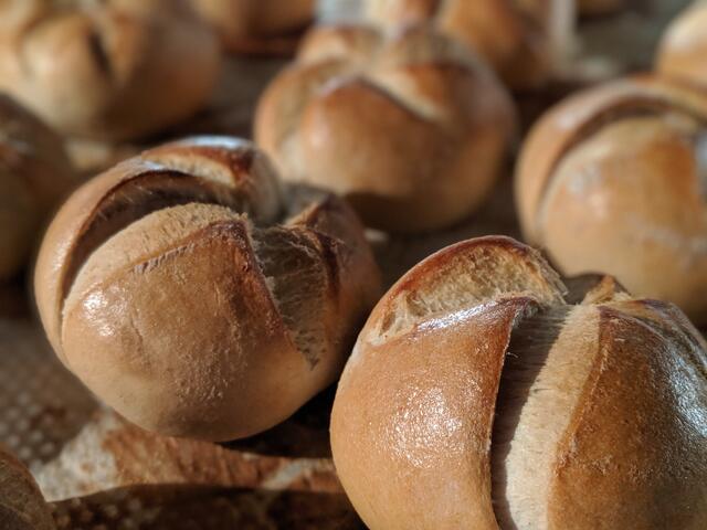 Welttag des Brotes: Gut Ding braucht Weile in Maria Neustift - Steyr ...