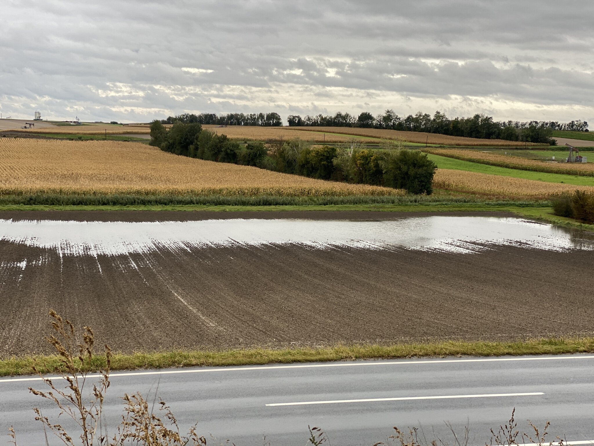 Dauerregen: Am Weidenbach - Gänserndorf