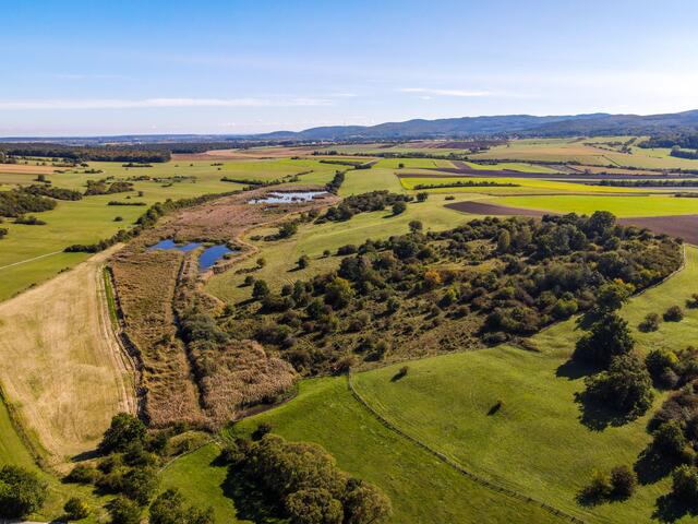 Marzer Kogel - Teichwiesen: Marzer Kogel - Teichwiesen - Mattersburg