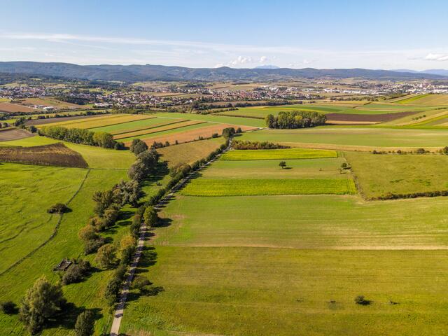 Marzer Kogel - Teichwiesen: Marzer Kogel - Teichwiesen - Mattersburg