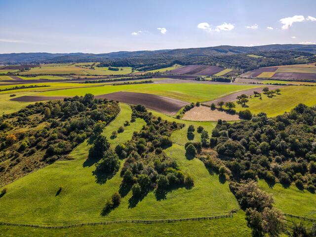 Marzer Kogel - Teichwiesen: Marzer Kogel - Teichwiesen - Mattersburg