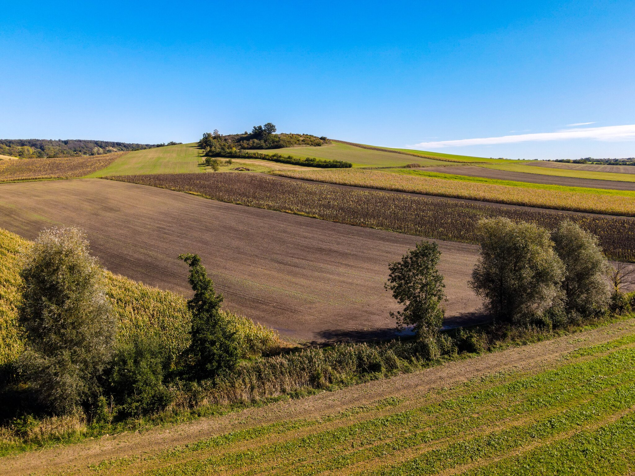 Marzer Kogel - Teichwiesen: Marzer Kogel - Teichwiesen - Mattersburg
